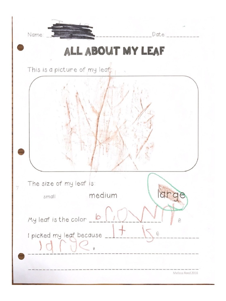 All About My Leaf | PDF