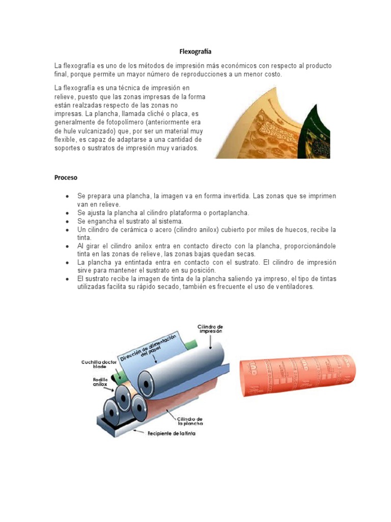 Flexografía Pdf Artes General Science