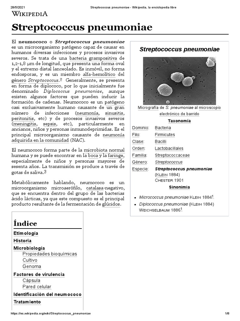 Streptococcus Pneumoniae - Wikipedia, La Enciclopedia Libre | PDF ...