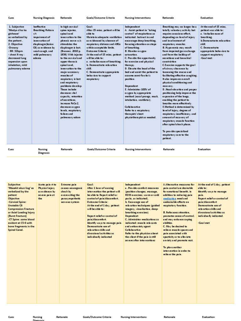 NCP | PDF | Breathing | Respiratory System