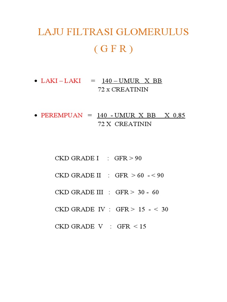 Laju Filtrasi Glomerulus | PDF