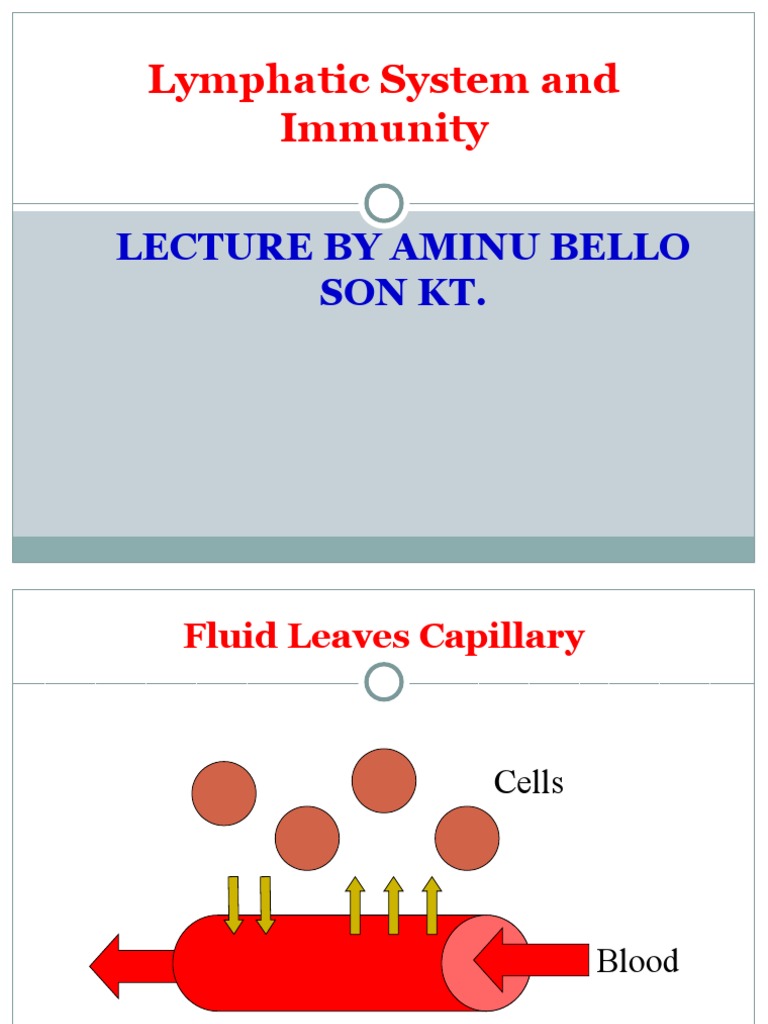 Lymphatic System and Immunity | PDF | Lymphatic System | Antigen