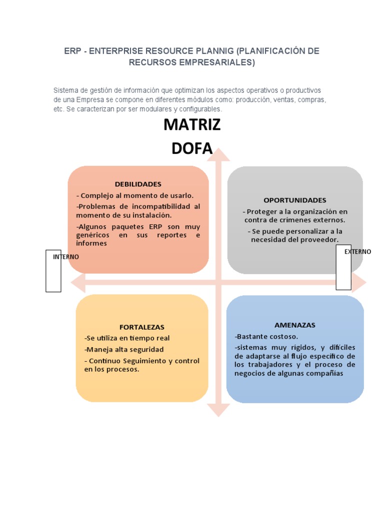 Matriz Dofa | PDF | Planificación de recursos empresariales | Gestión ...
