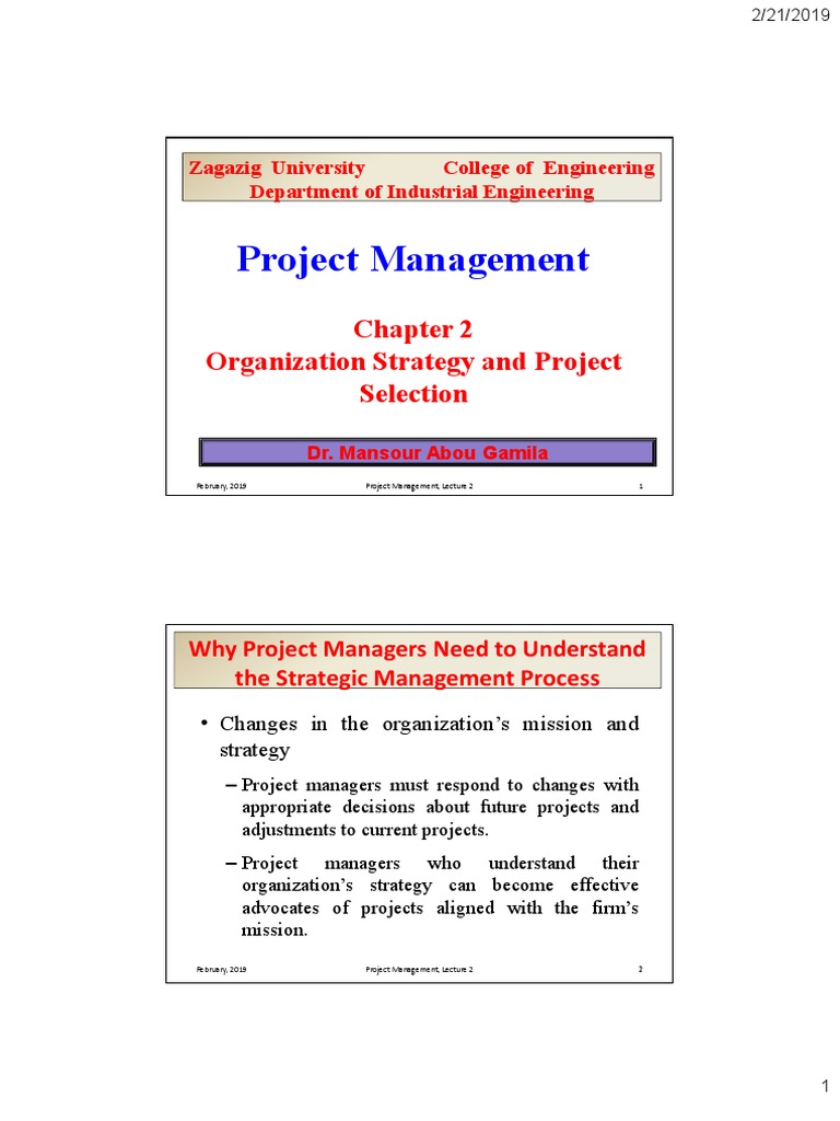 Project Management: Organization Strategy and Project Selection | PDF ...