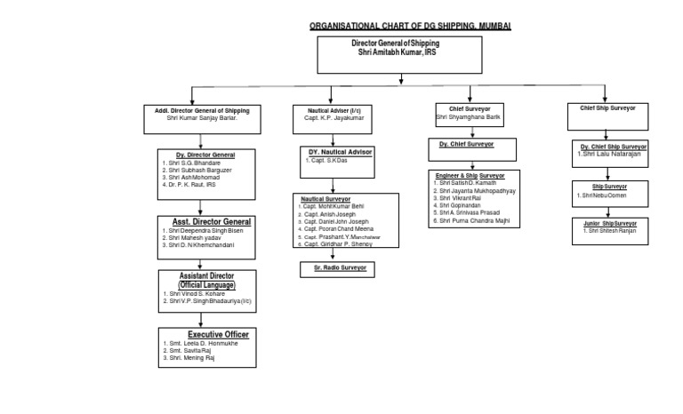 Organisational Chart of DG Shipping, Mumbai | PDF