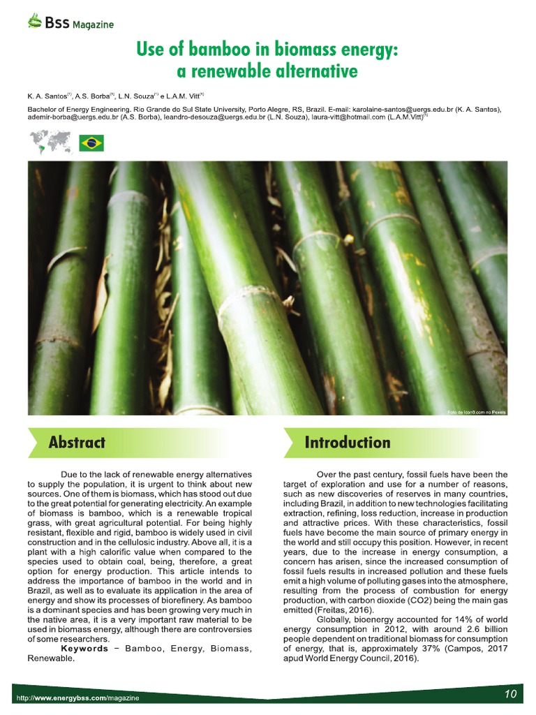 Use of Bamboo in Biomass Energy A Renewable Alternative | PDF