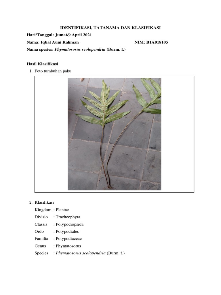 Acara 2 - Iqbal Auni Rahman - B1A1018105 | PDF