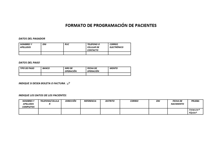 Formato de Programacion de Pacientes 1 | PDF