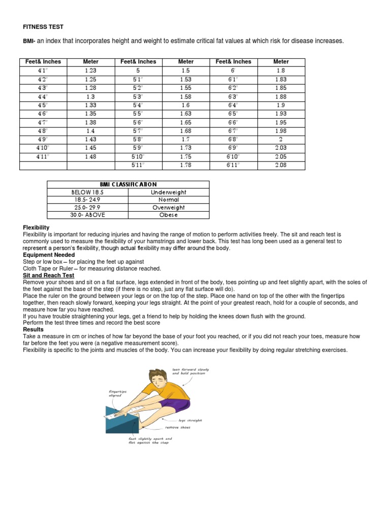 3.3 How To Conduct The PHYSICAL FITNESS TEST | PDF | Balance (Ability ...