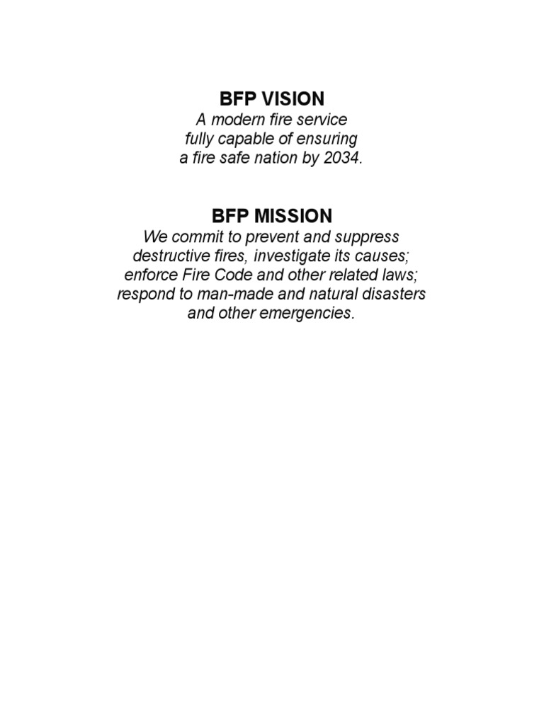 BFP Vision | PDF
