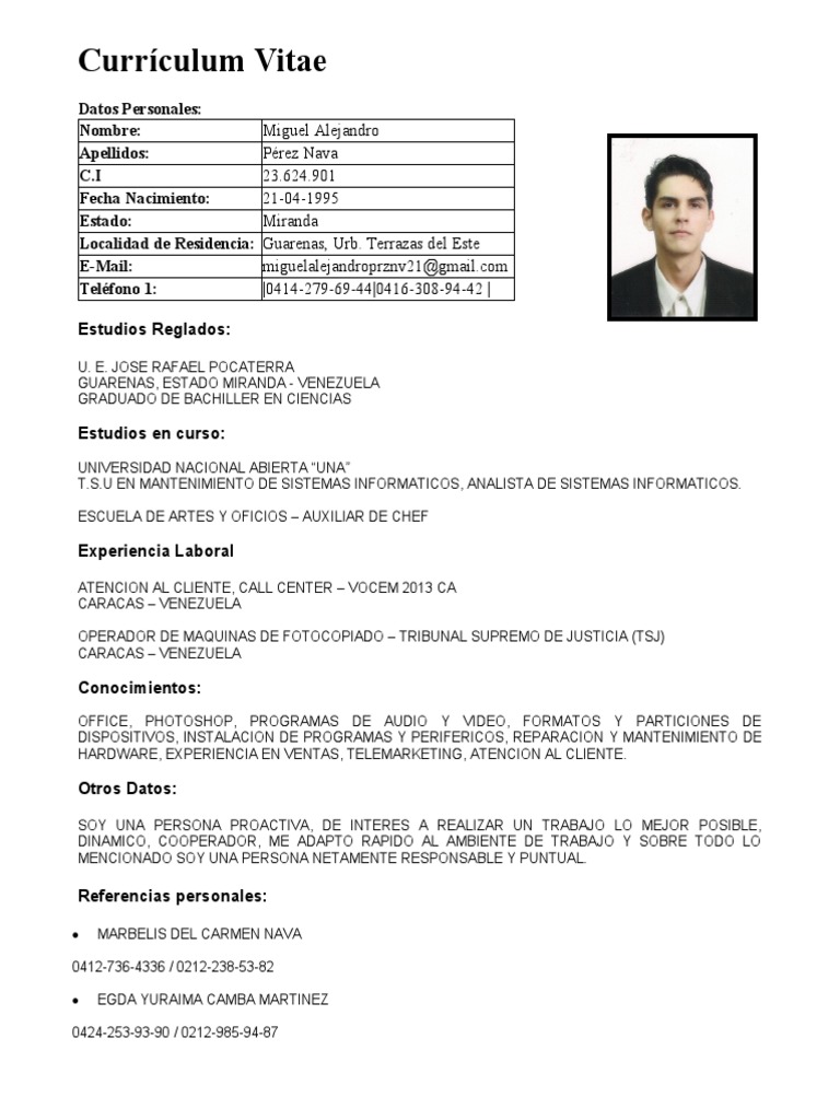 Currículum Vitae MIGUEL | PDF