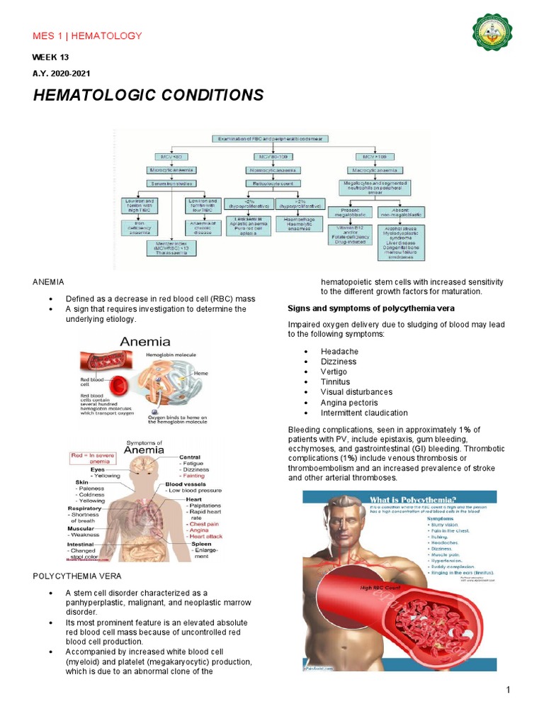 Hematologic Conditions: Mes 1 - Hematology | PDF | Blood Cell | Thrombosis