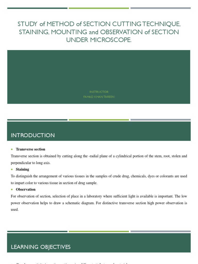 Study of Method of Section Cutting Technique | PDF | Staining | Leaf