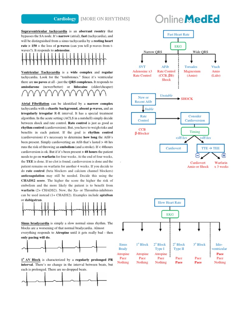 Cardiology - ACLS Rhythms | PDF | Cardiac Electrophysiology ...