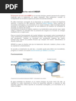 Tipos de Reactores Biologicos | PDF | Aguas residuales | Naturaleza