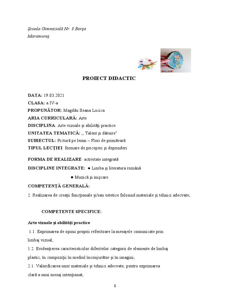 14 Proiect Didactic Avap | PDF