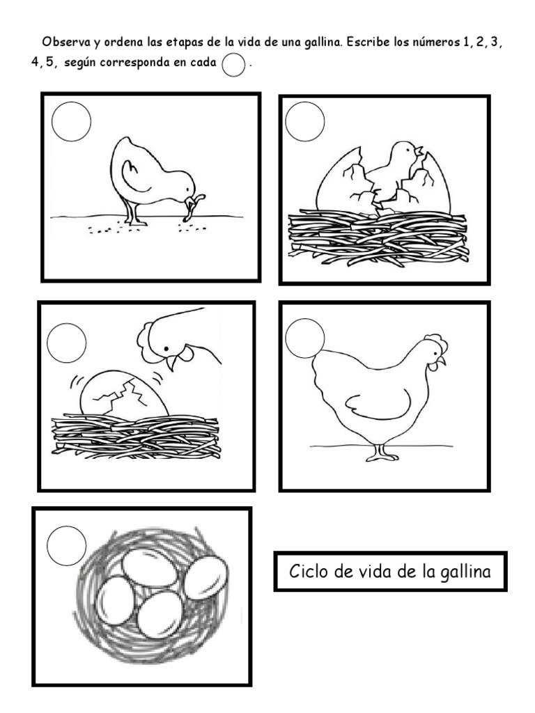 Ciclo de Vida de Las Plantas y Animales | PDF