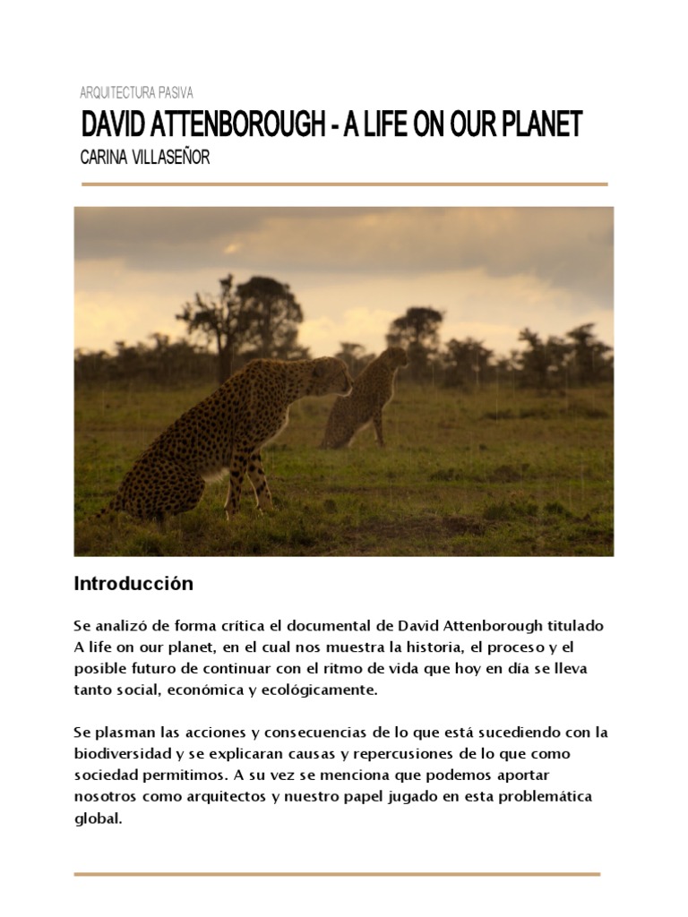 A Life On Our Planet | PDF | Energía renovable | Biodiversidad