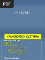 ΑΝΑΤΟΜΙΑ γ επαλ | PDF