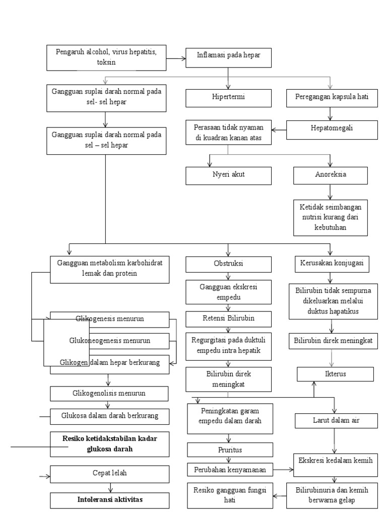 Pathway Hepatitis | PDF