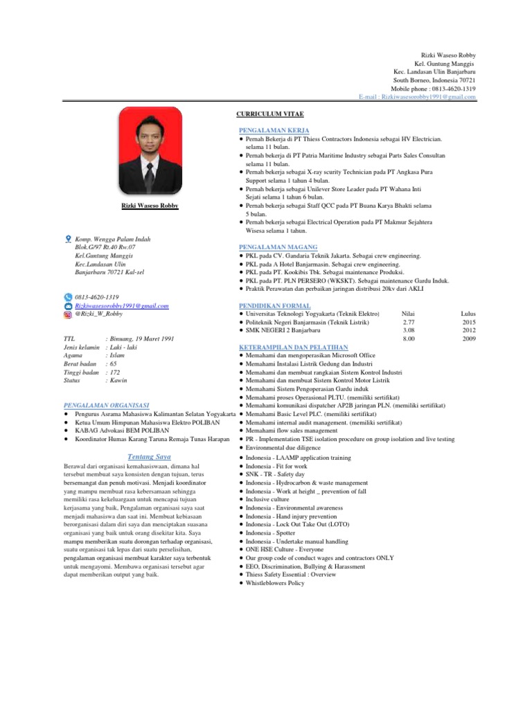 CV For DH | PDF