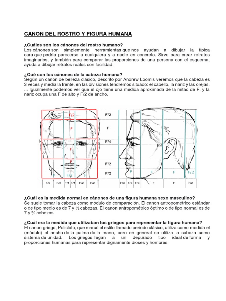 Canon Del Rostro Y Figura Humana Pdf