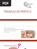 Maniobra de Ritgen | PDF | Parto | Reproducción