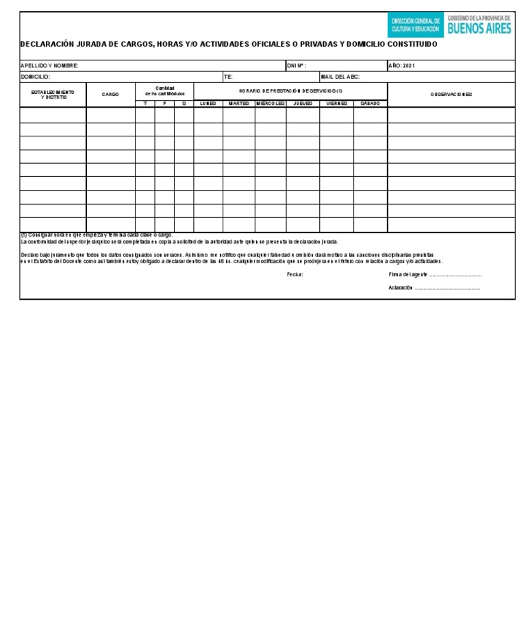 Modelo de DDJJ 2021 | PDF