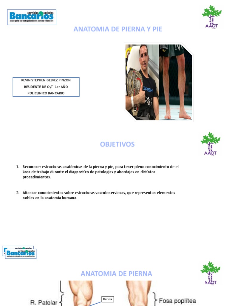 Anatomia Del Pierna y Pie | PDF | Pie | Dedo del pie