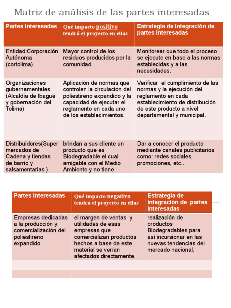 Partes Interesadas | PDF