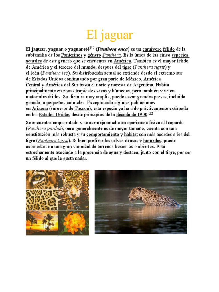 El Jaguar | PDF