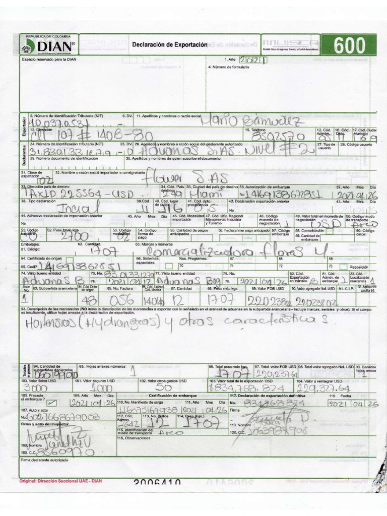 Declaracion de Exportacion Dian | PDF
