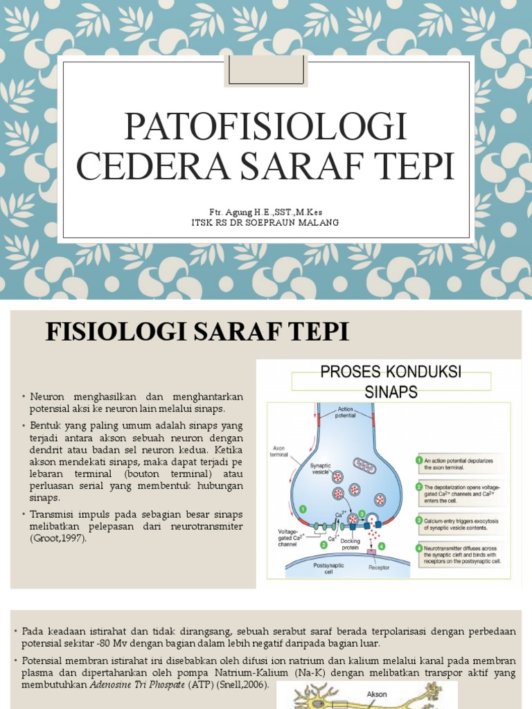 Patofisiologi Cedera Saraf Tepi | PDF