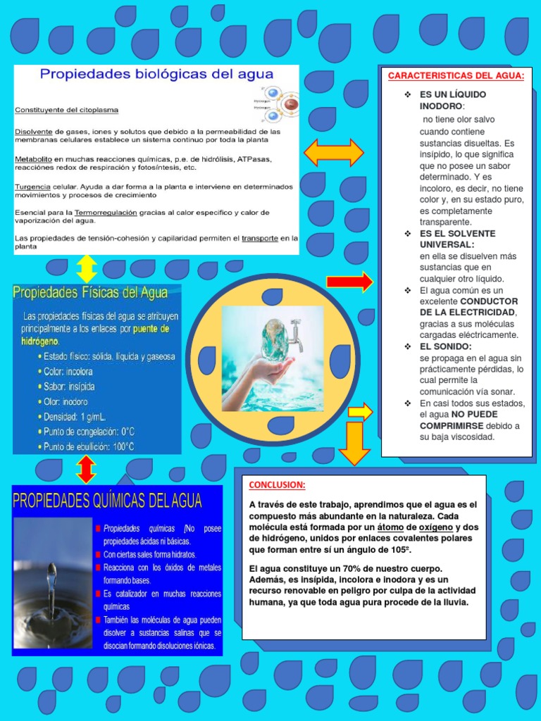 Infografia Del Agua | PDF