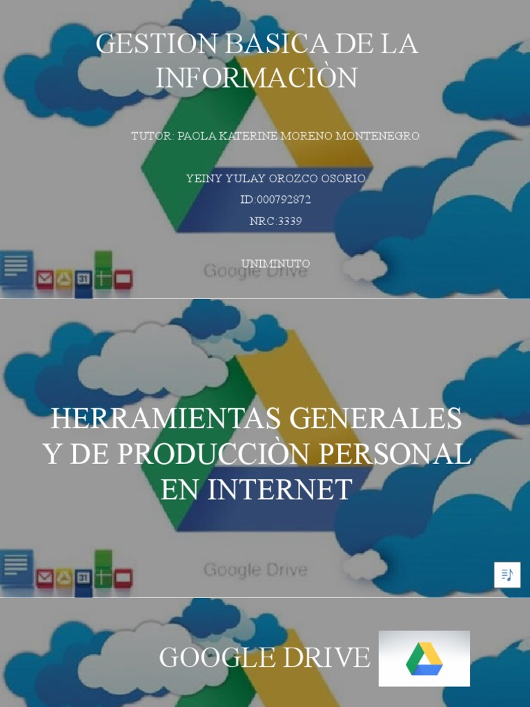 Gestion Basica de La Informaciòn | PDF