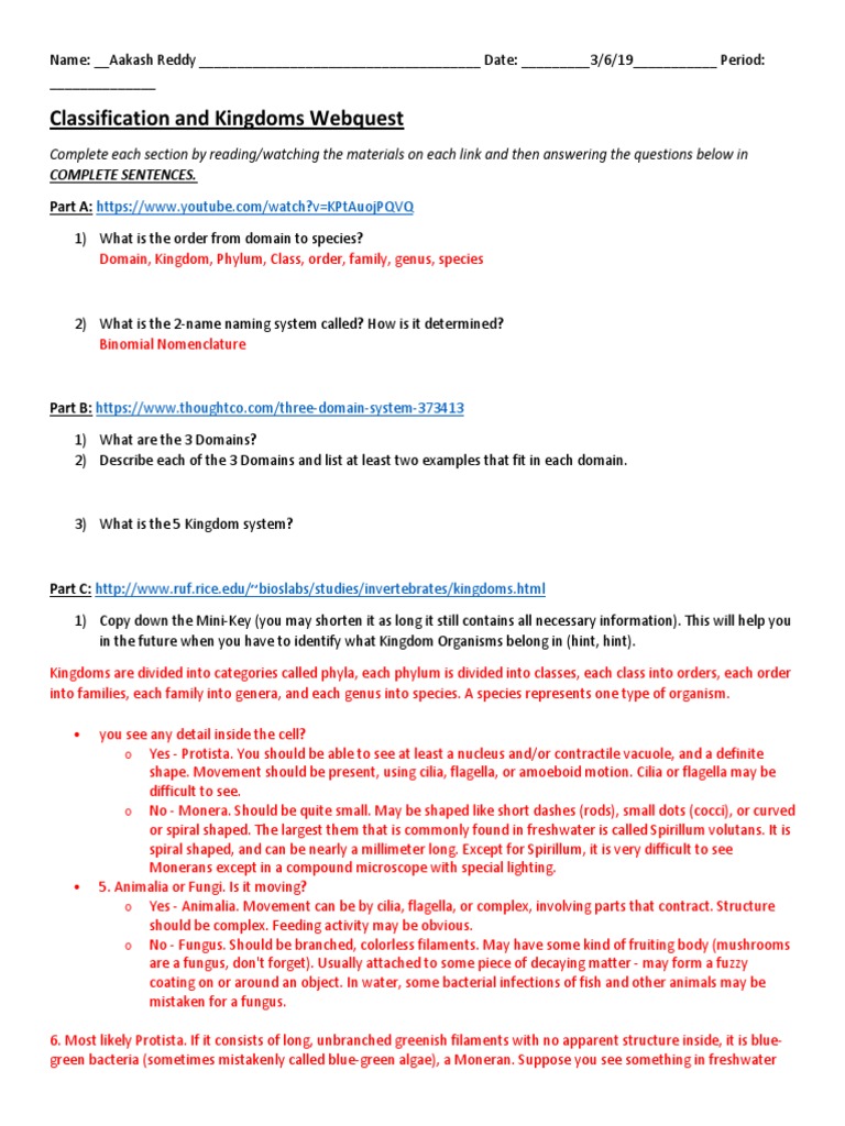 Classification and Kingdoms Webquest | PDF