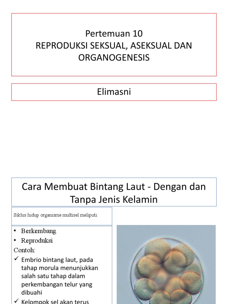 Reproduksi Seksual, Aseksual Dan Organogenesis | PDF | Sains & Matematika
