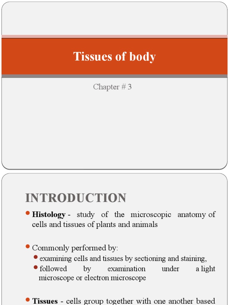 Tissues of Body: Chapter # 3 | PDF | Tissue (Biology) | Epithelium