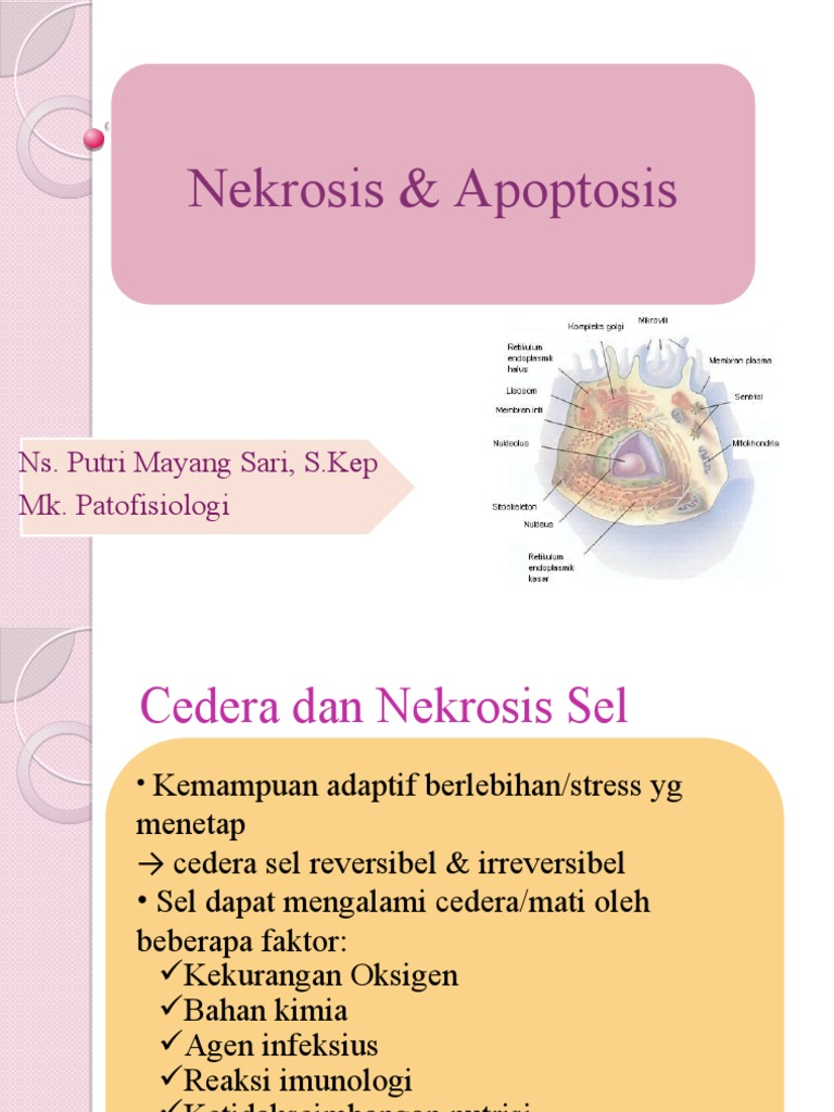 Materi | PDF | Ilmu Sosial | Kesehatan Holistik