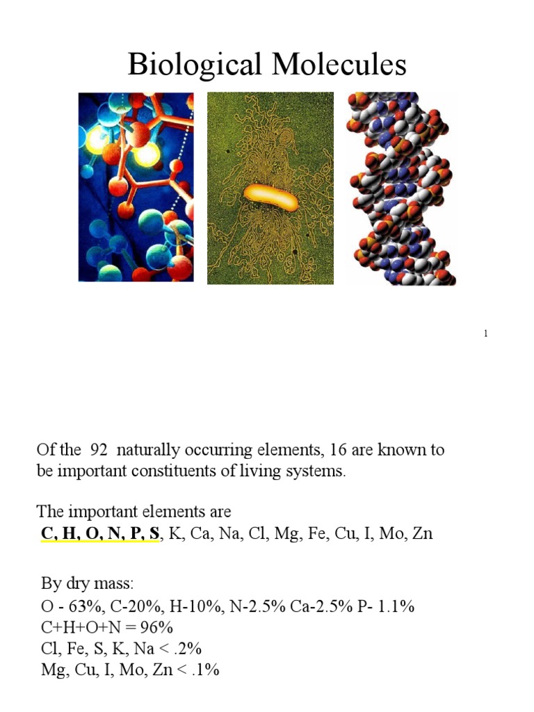 Essential Biological Molecules Overview | PDF | Nucleotides | Lipid
