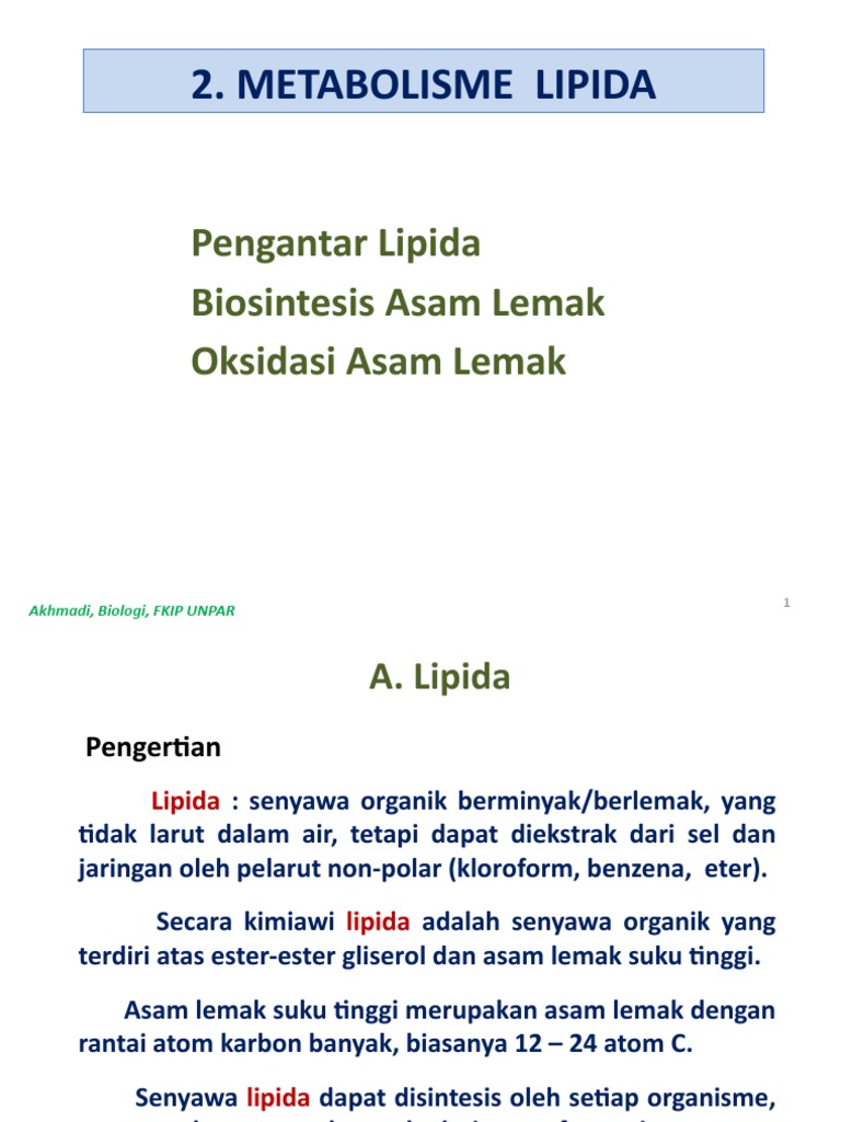 Biokim 2 LIPID-Biosintesis | PDF