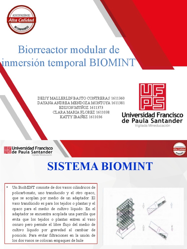 Biomint | PDF | Naturaleza | Science