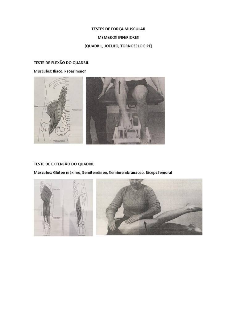 Testes de Força Muscular Mmii | PDF | Autoajuda | Bem-estar