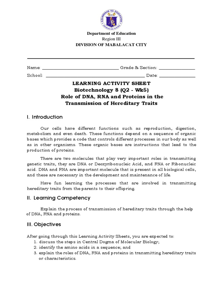 DNA, RNA, and Protein Roles in Traits | PDF | Translation (Biology ...