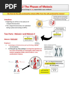Meiosis Amoeba Sisters | PDF | Meiosis | Mitosis