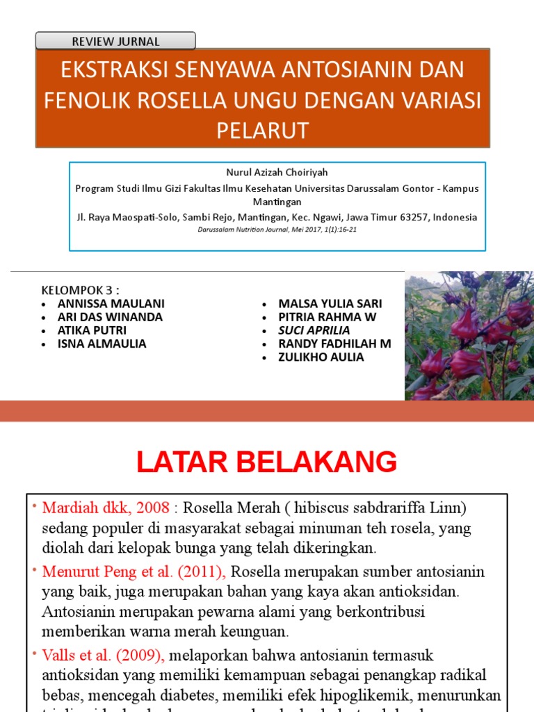 Rosella | PDF
