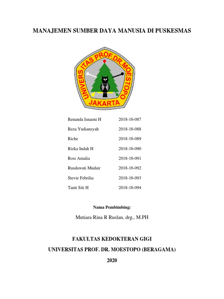 SDM Manajemen Puskesmas Kel 6 | PDF | Bisnis | Pengelolaan Keuangan & Uang