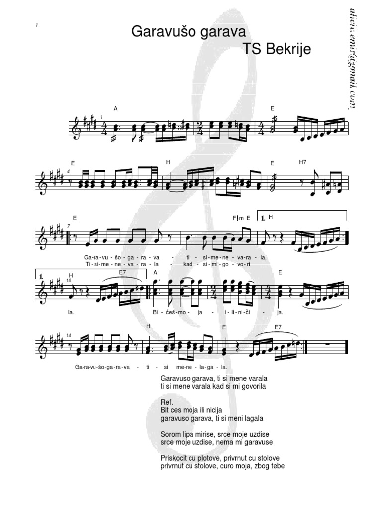 Garavuso Garava Ts Bekrije | PDF
