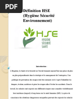 Fiche Poste Hse | PDF | Sécurité | Environnement naturel