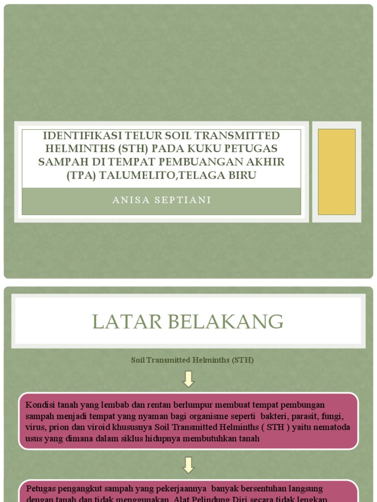 IDENTIFIKASI TELUR Soil Transmitted Helminths (STH) | PDF